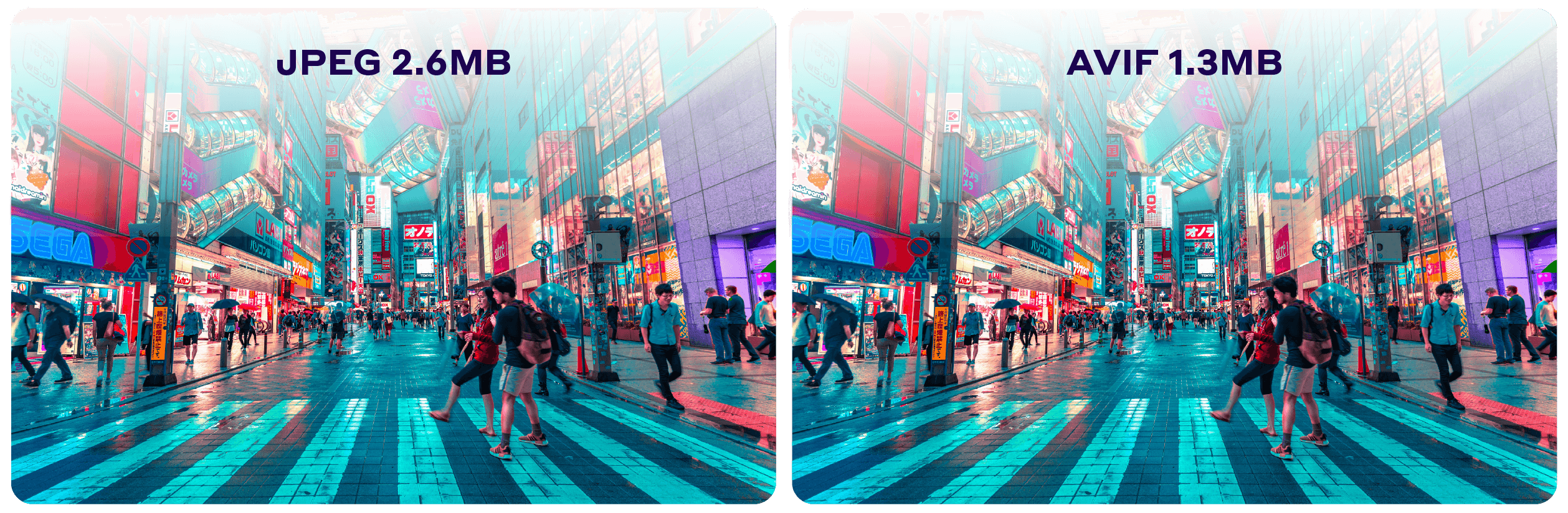 WordPress 6.5 “Regina”: Performance Updates, New Font Library Feature ...